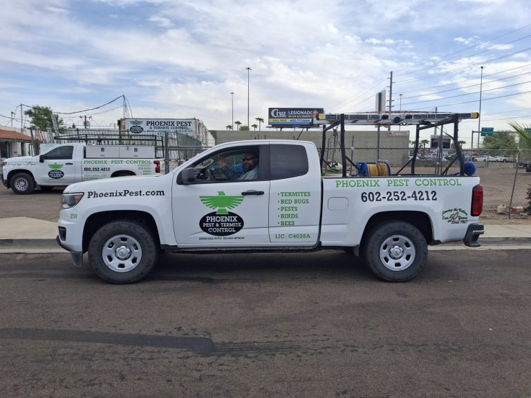 What Eats Termites? Nature’s Termite Predators | Phoenix Pest & Termite ...