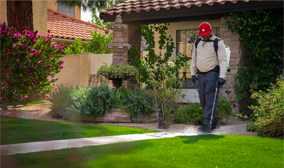 Phoenix Pest & Termite Control